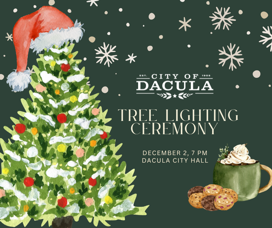 Tree Lighting Ceremony | Dacula Georgia